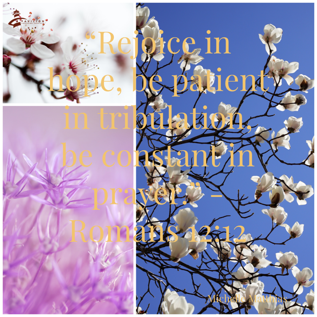 Springtime and Hope. Hope in God. It differs from optimism.