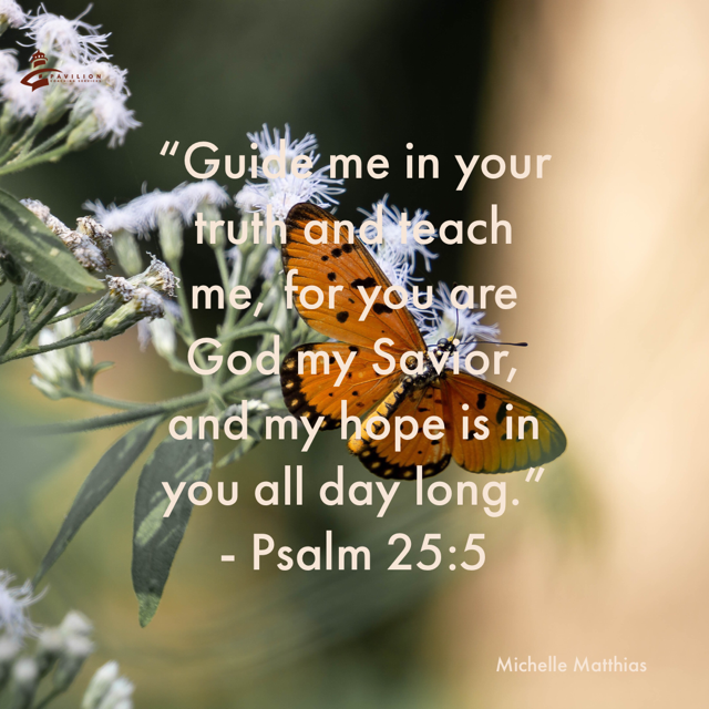 Springtime and Hope. Hope in God. It differs from optimism.