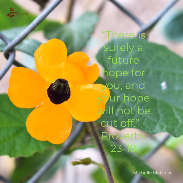 Springtime and Hope. Hope in God. It differs from optimism.