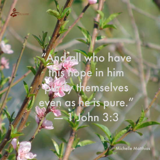 Springtime and Hope. Hope in God. It differs from optimism.