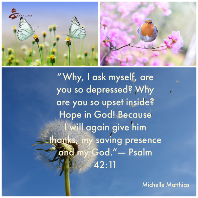 Springtime and Hope. Hope in God. It differs from optimism.