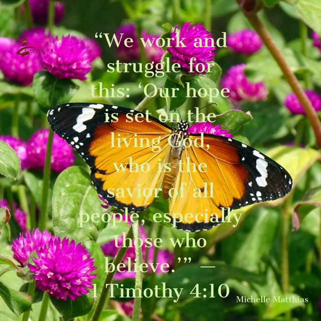 Springtime and Hope. Hope in God. It differs from optimism.