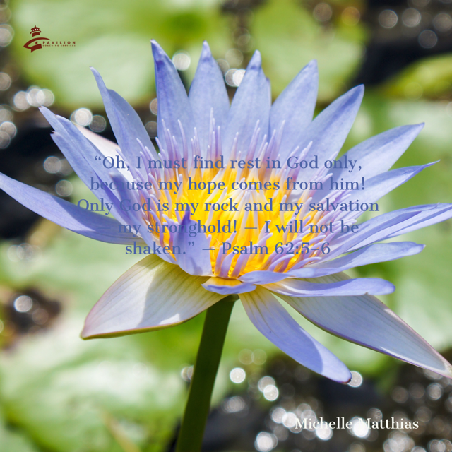 Springtime and Hope. Hope in God. It differs from optimism.