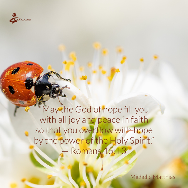 Springtime and Hope. Hope in God. It differs from optimism.